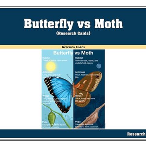 Butterfly Vs Moth Chart With Cards – Montessori Zoology Material for ...