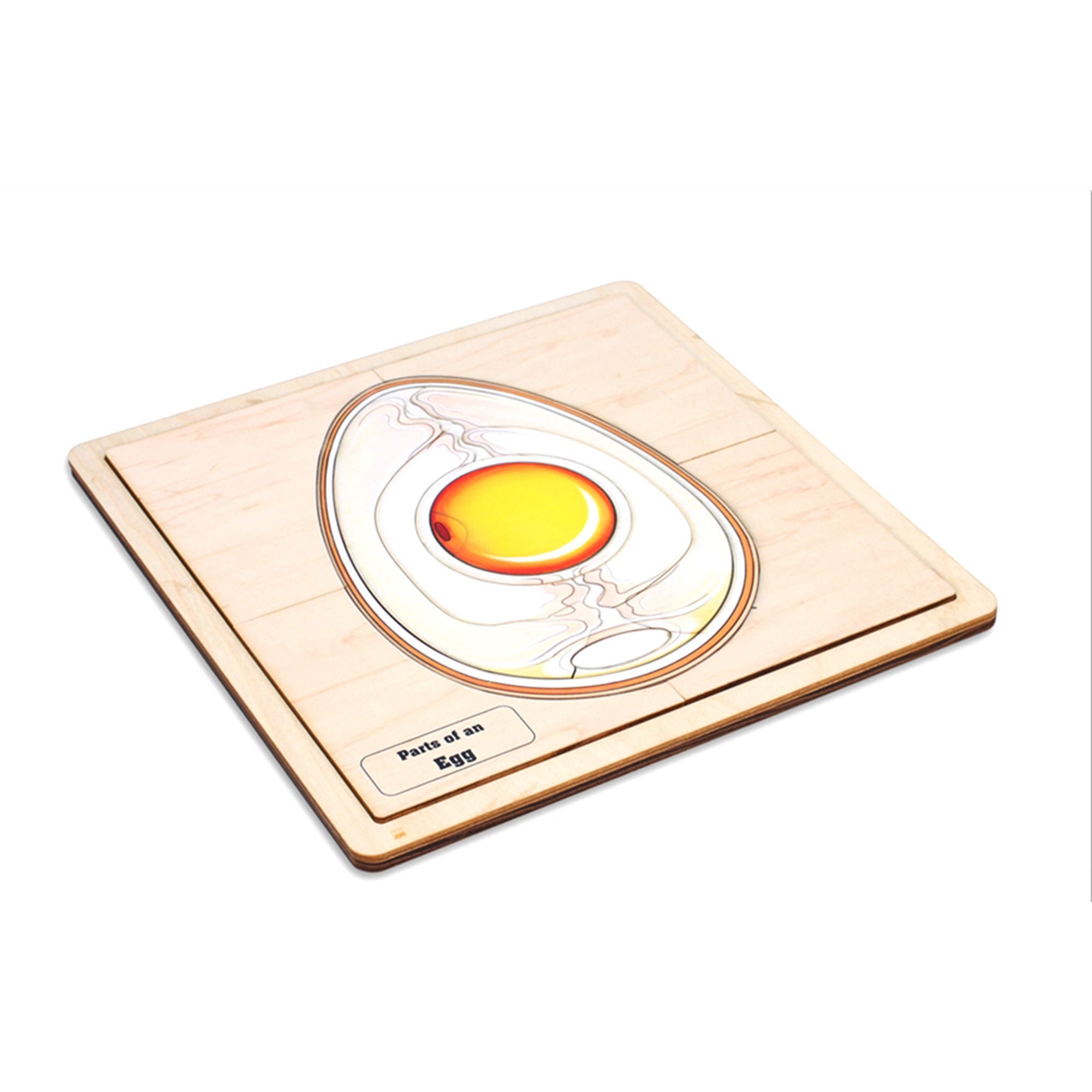 Montessori Parts of an Egg Puzzle | Chicken Egg Puzzle | Chicken Puzzle ...