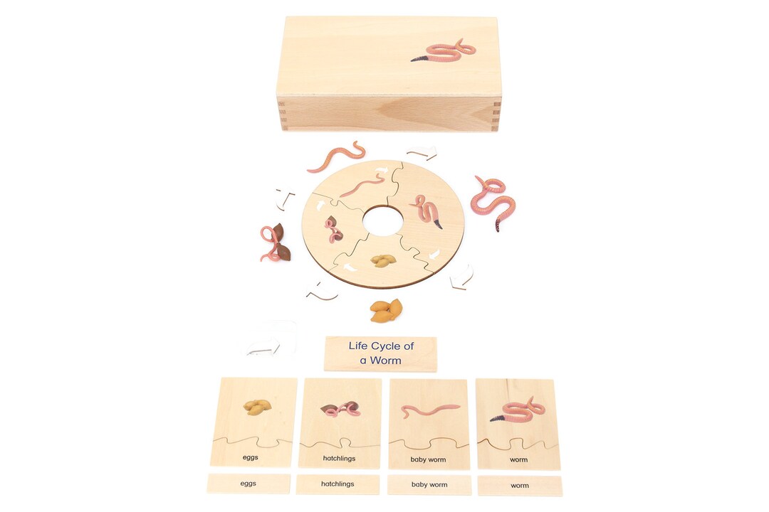 Life Cycle Set of a Worm - Montessori Life Cycle - Worm Life Cycle ...