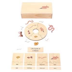 Life Cycle Set of a Worm - Montessori Life Cycle - Worm Life Cycle ...