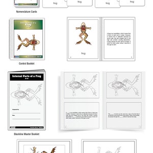 Internal Parts of a Frog Puzzle With Nomenclature Cards (6-9) (printed ...