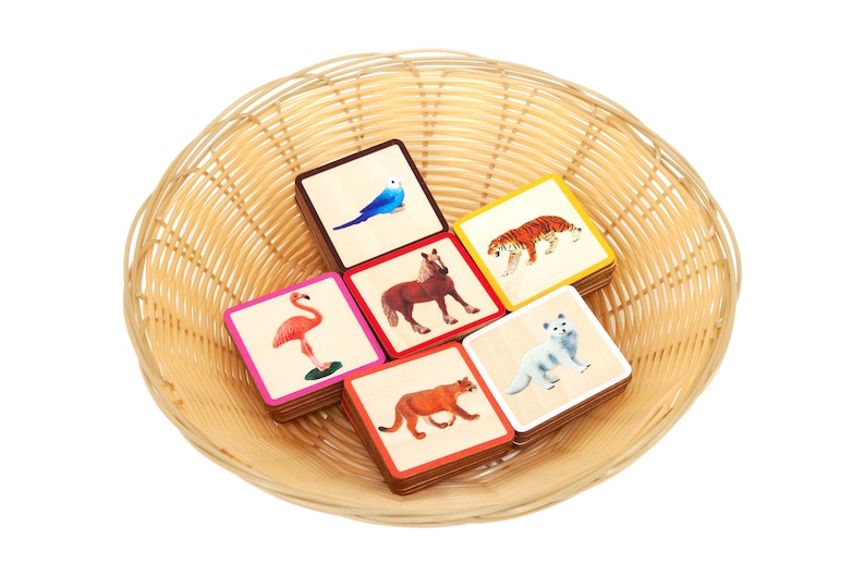 Fichas para clasificar los continentes y sus animales / Animales del ...