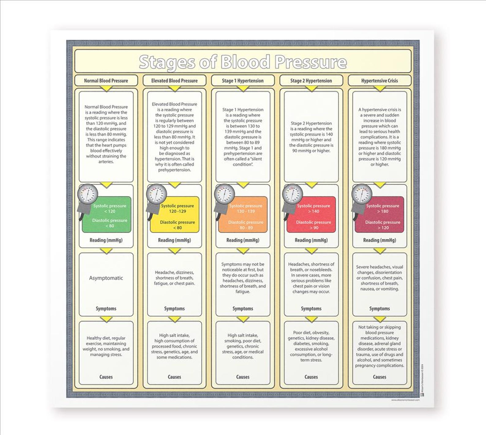 Comprehensive Blood Pressure Stages Chart: Educational Science Resource ...