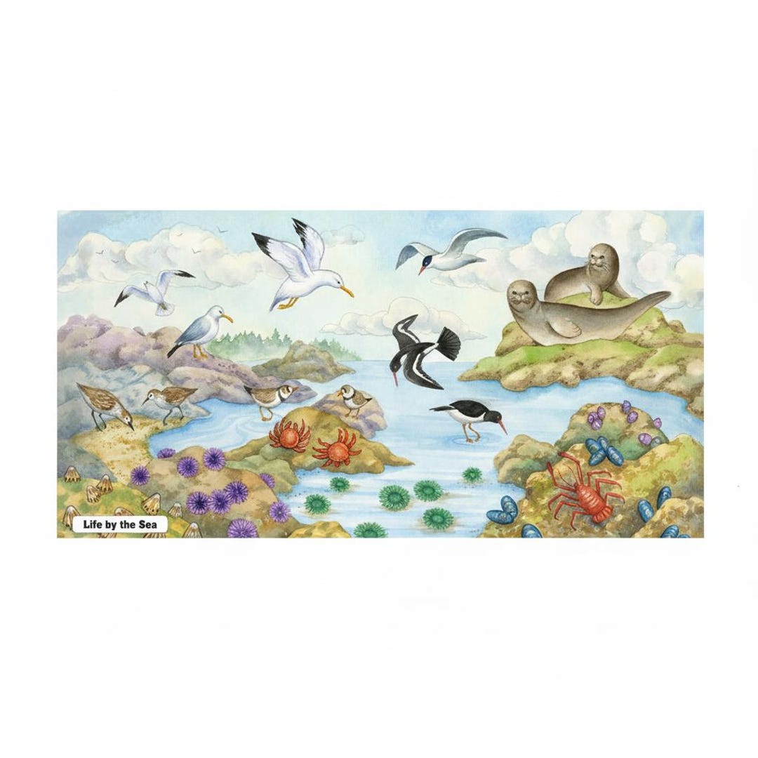 Life by the Sea Complete Set – Montessori Ocean & Marine Life Learning ...
