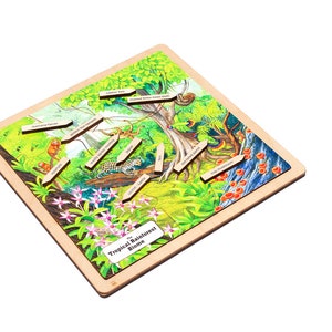 Tropical Rainforest Biome Puzzle | Animal Habitat Learning | Montessori ...