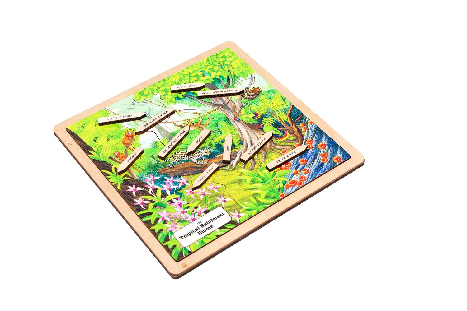 Tropical Rainforest Biome Puzzle Animal Habitat Learning Montessori ...