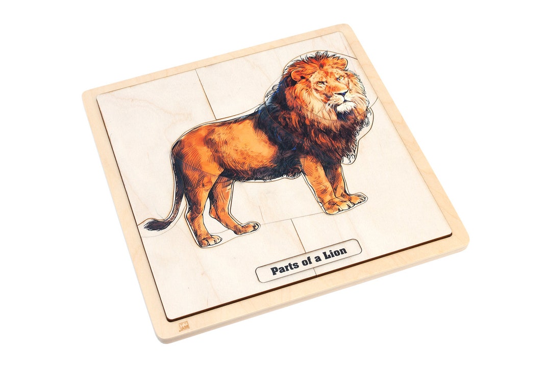 Parts of a Lion Puzzle With Nomenclature Cards (3-6) (printed ...
