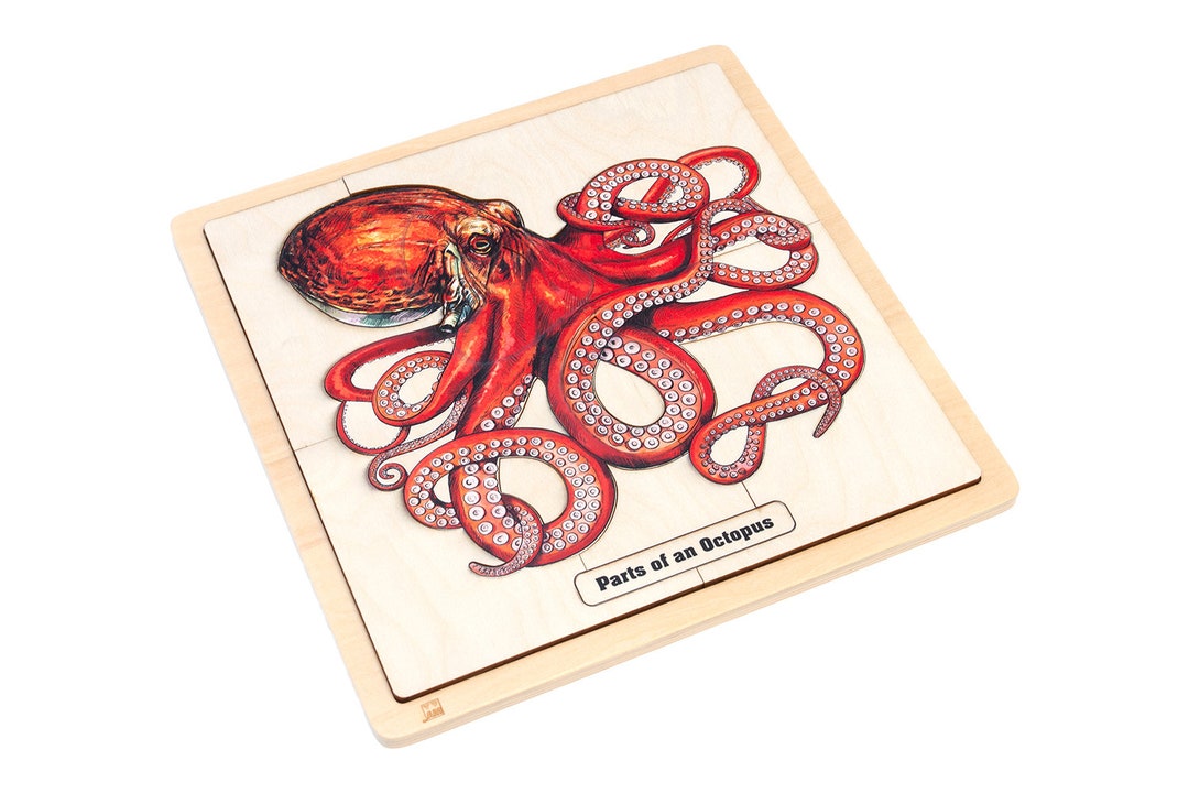 Parts of a Octopus Puzzle | Montessori Materials | Montessori Zoology ...