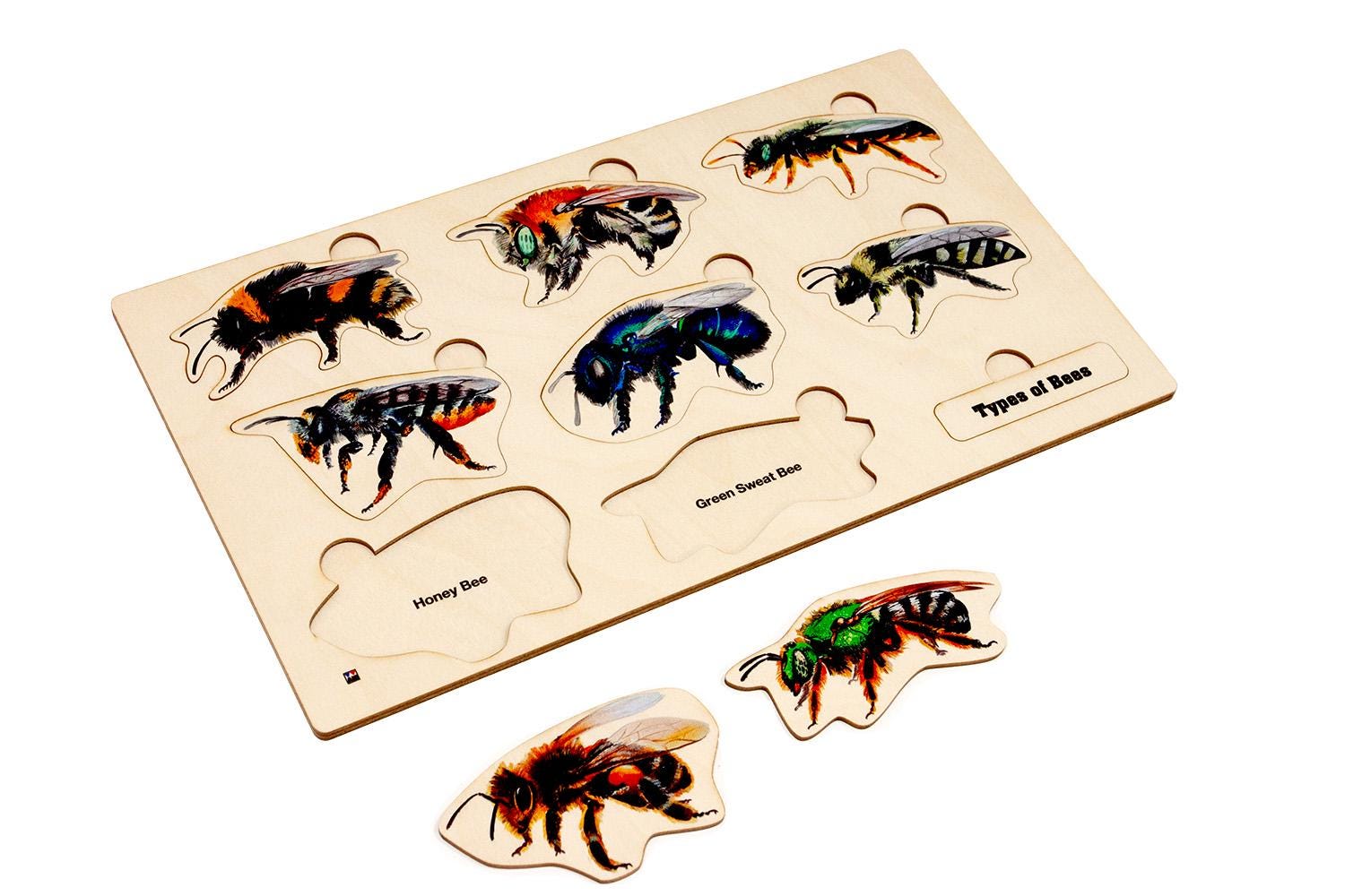 Types of Bees Puzzle With Nomenclature Cards 6-9 | Montessori Materials ...