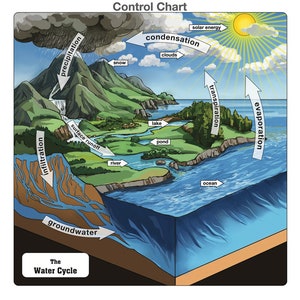 The Water Cycle Puzzle With Nomenclature Cards (6-9) | Montessori ...