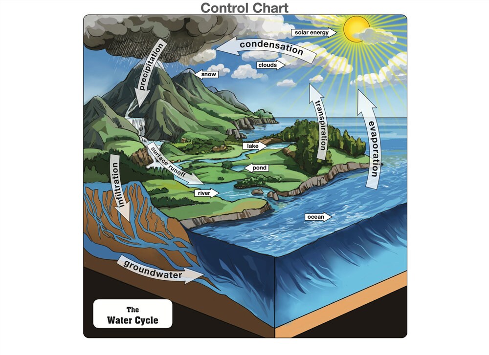 The Water Cycle Puzzle With Nomenclature Cards 6-9 Montessori Materials ...
