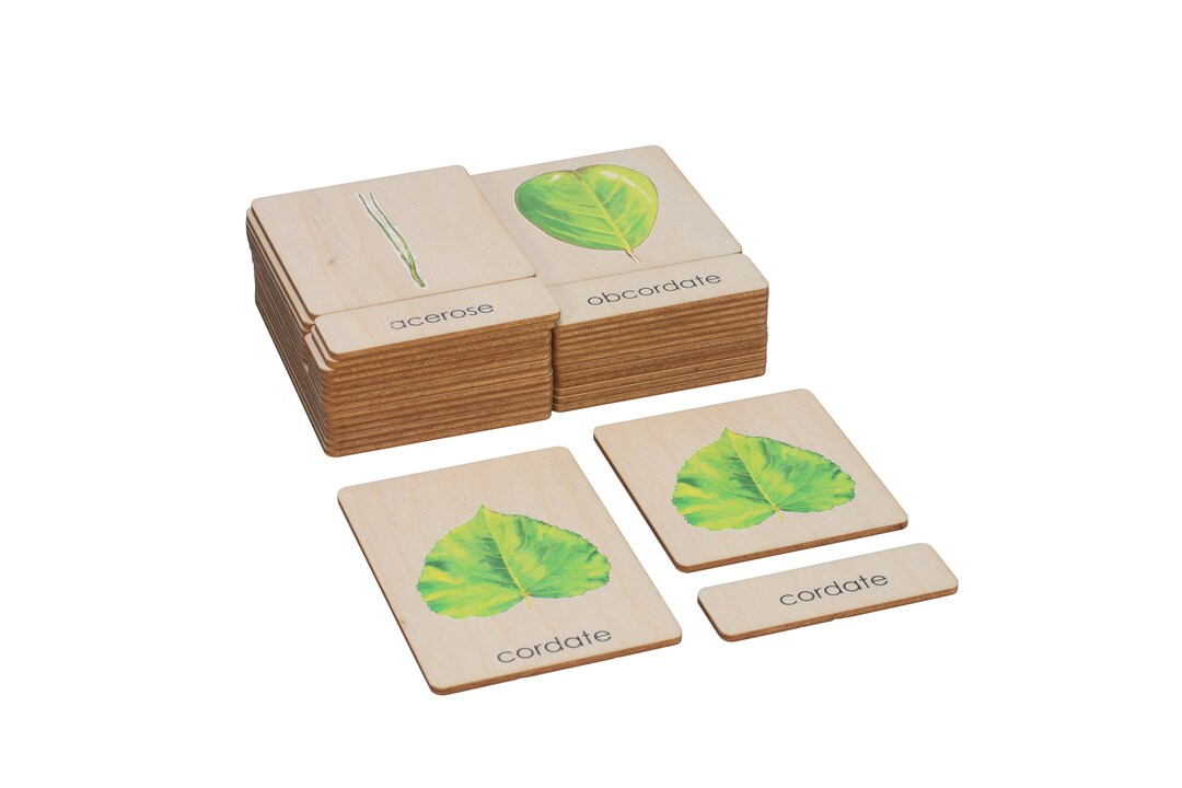 Montessori Types of Leaves Nomenclature Cards - Etsy