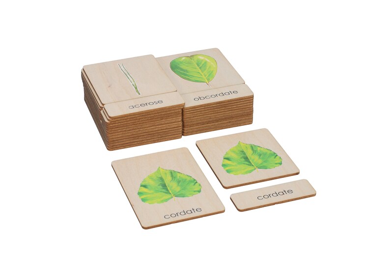 Montessori Types of Leaves Nomenclature Cards | Etsy