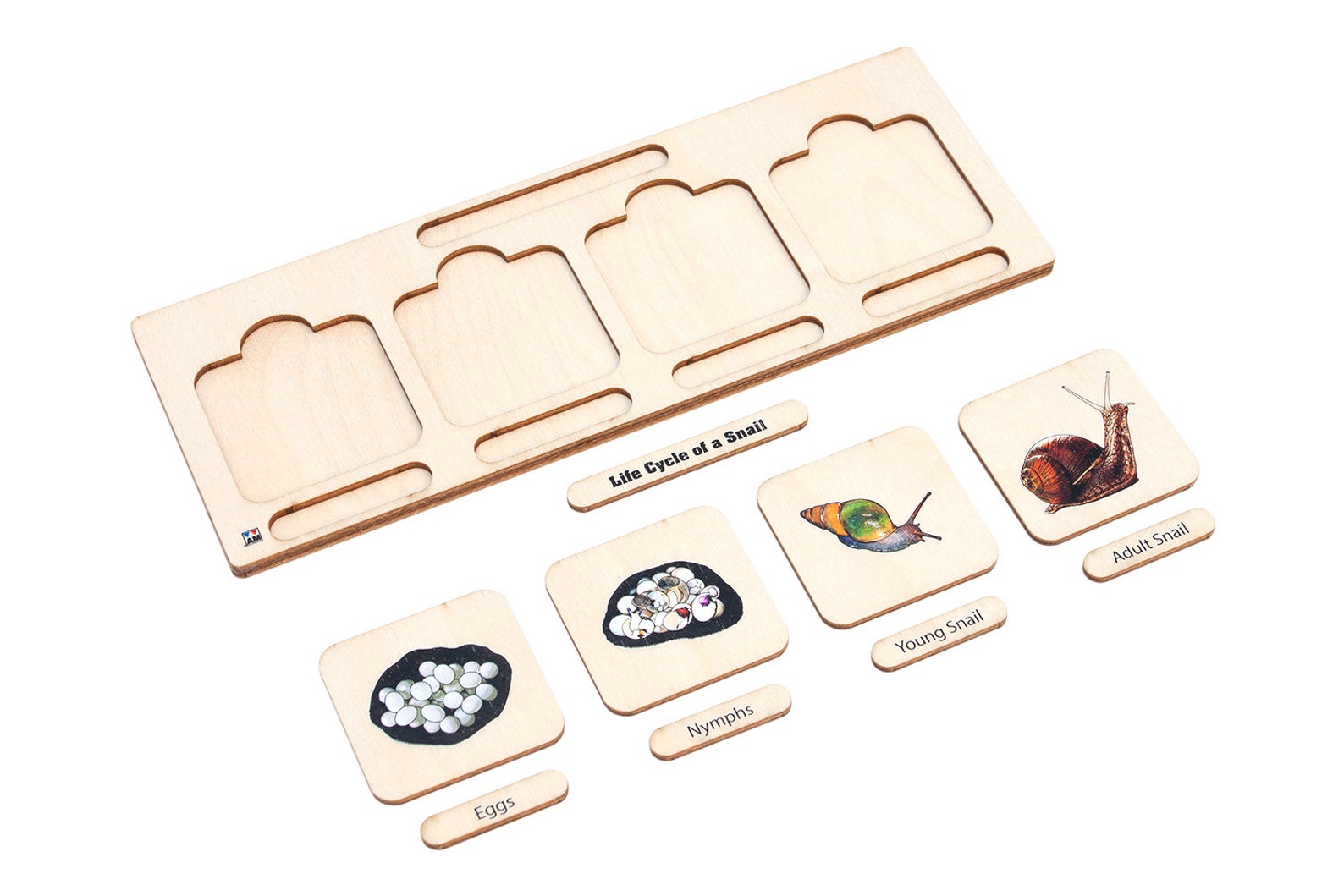 Wooden Life Cycle Set: Snail Montessori Puzzles Montessori Life Cycles ...