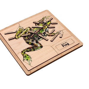 Parts of a Frog Puzzle With Nomenclature Cards (6-9) | Montessori ...
