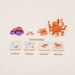Life Cycle of an Octopus | Octopus Life Cycle | Life Cycle Puzzle ...