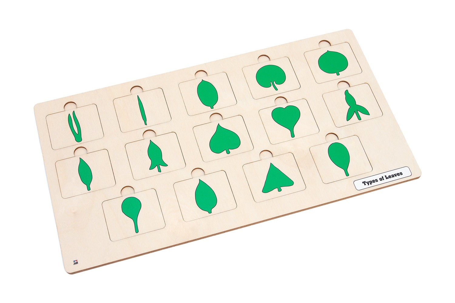 Types of Leaves Puzzle Montessori Materials Montessori - Etsy