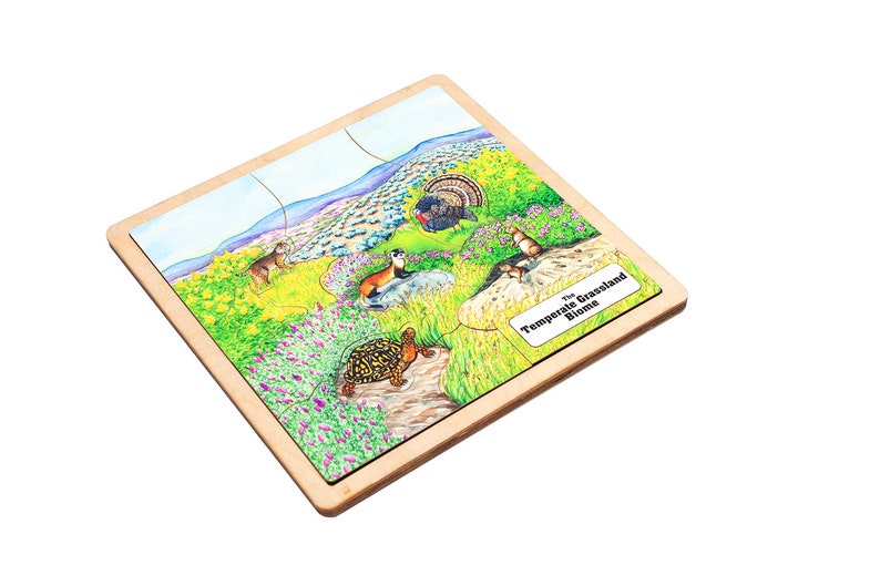 Temperate Grassland Biome Puzzle | Animal Habitat | Grassland Biome ...