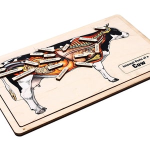 Internal Parts of a Cow Puzzle With Nomenclature Cards (3-6) (printed ...