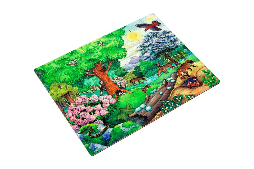 Temperate Forest Biome Jigsaw Puzzle: Montessori Learning, Forest ...