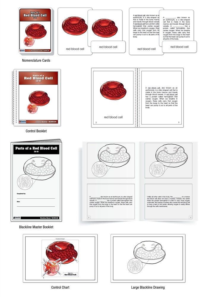 Parts of a Red Blood Cell Puzzle With Nomenclature Cards (6-9) (printed ...