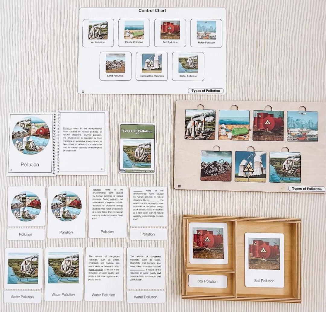 Types of Pollution Puzzle With Nomenclature Cards 6-9 Montessori ...