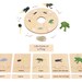 Life Cycle Set of a Frog - Montessori Life Cycle - Frog Life Cycle ...