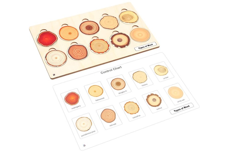 Wood Puzzle With Nomenclature Cards: Montessori Botany Materials ...
