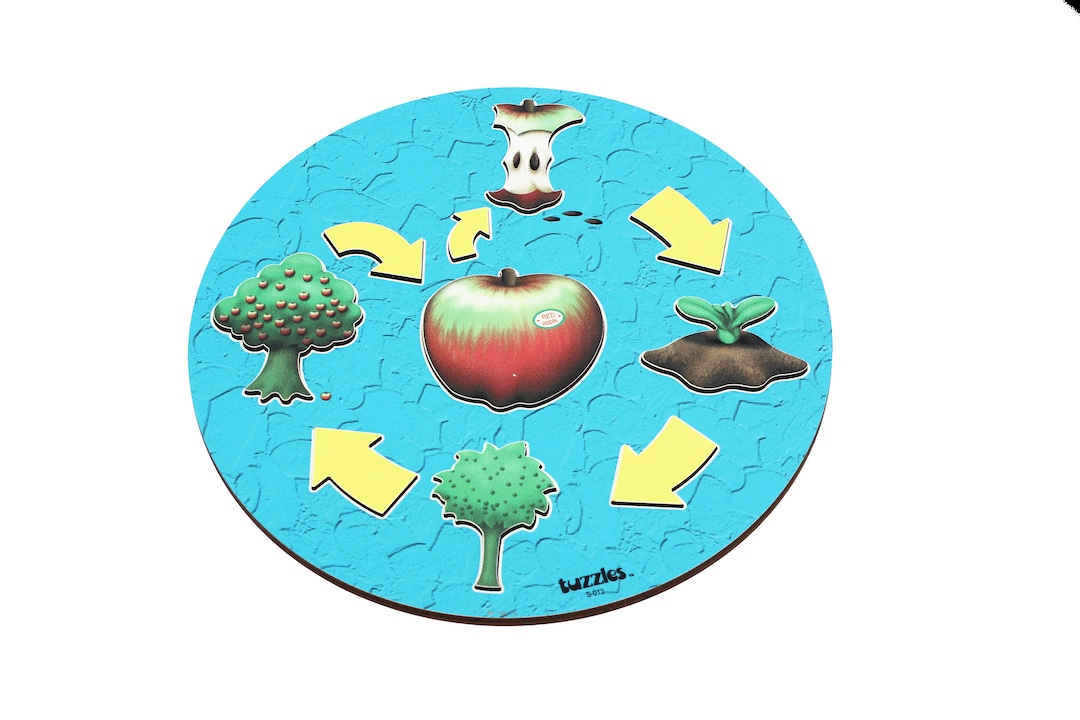 Life Cycle of an Apple | Life Cycle Puzzles | Montessori Fruit Puzzle ...