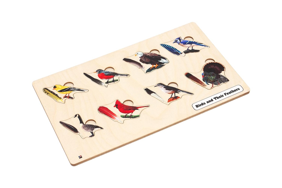Birds and Their Feathers Puzzle | Montessori Materials | Montessori ...