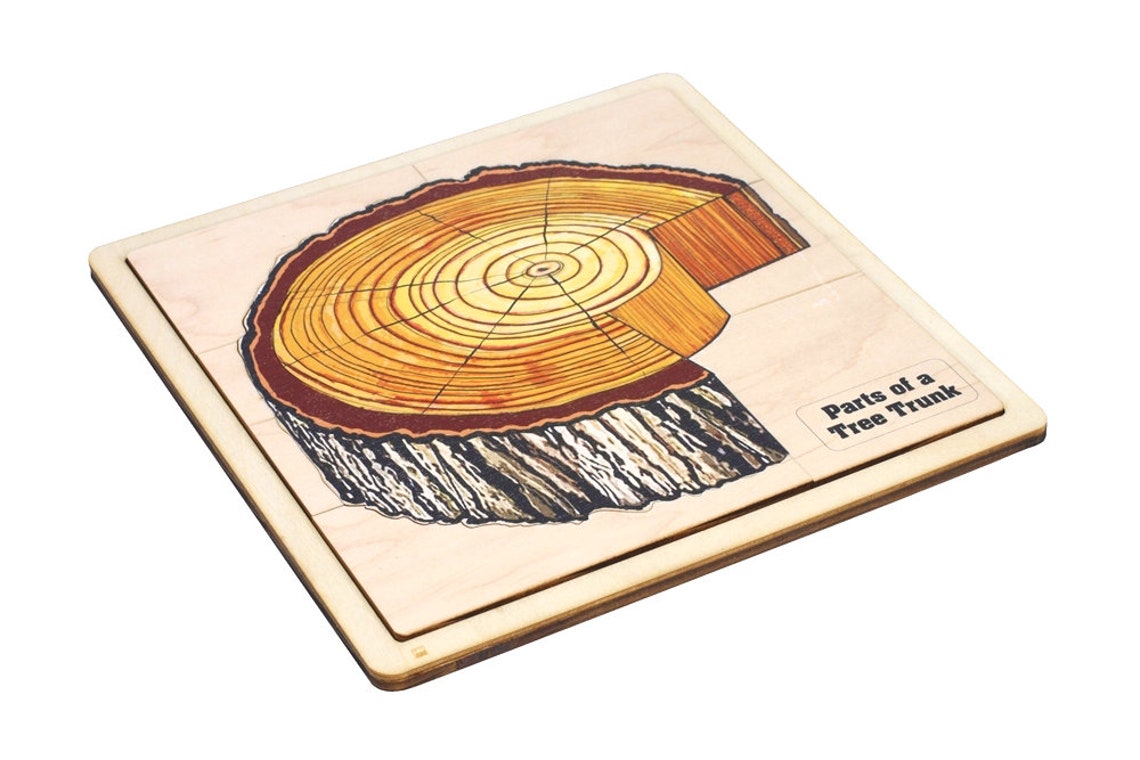 Parts of a Tree Trunk Puzzle With Nomenclature Cards 6-9 | Montessori ...