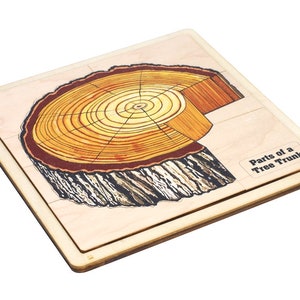 Parts of a Tree Trunk Puzzle With Nomenclature Cards 6-9 | Montessori ...