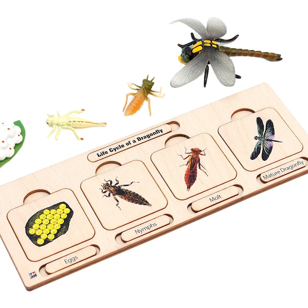 Wooden Dragonfly Puzzle - Etsy