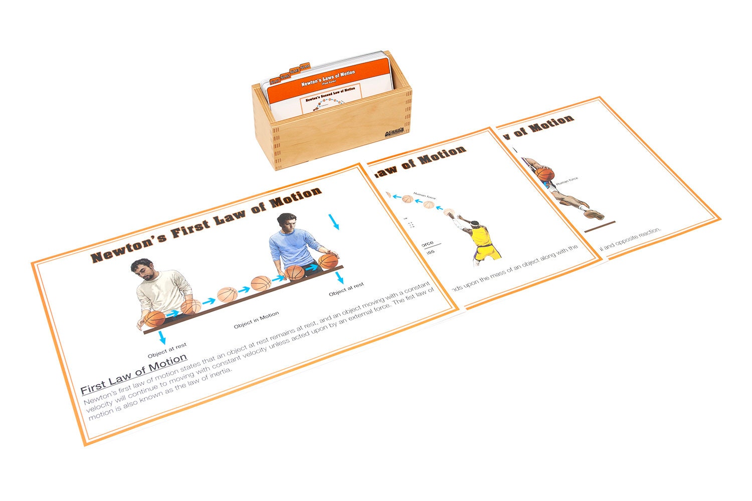 Newton's Laws of Motion: Montessori Science Task Cards - Etsy