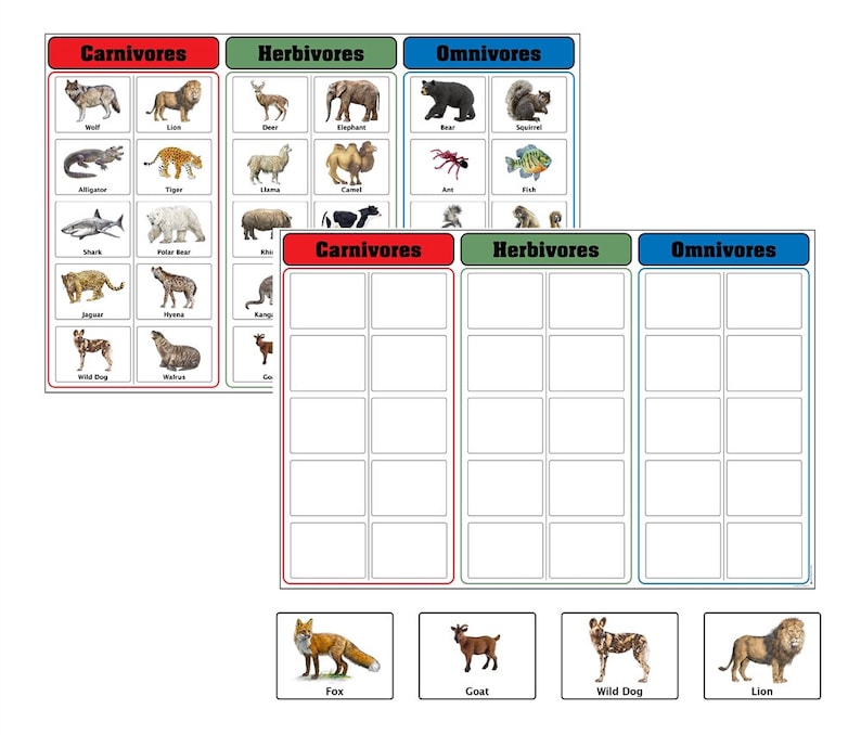 Carnivores, Herbivores, and Omnivores Charts With Cards | Montessori ...