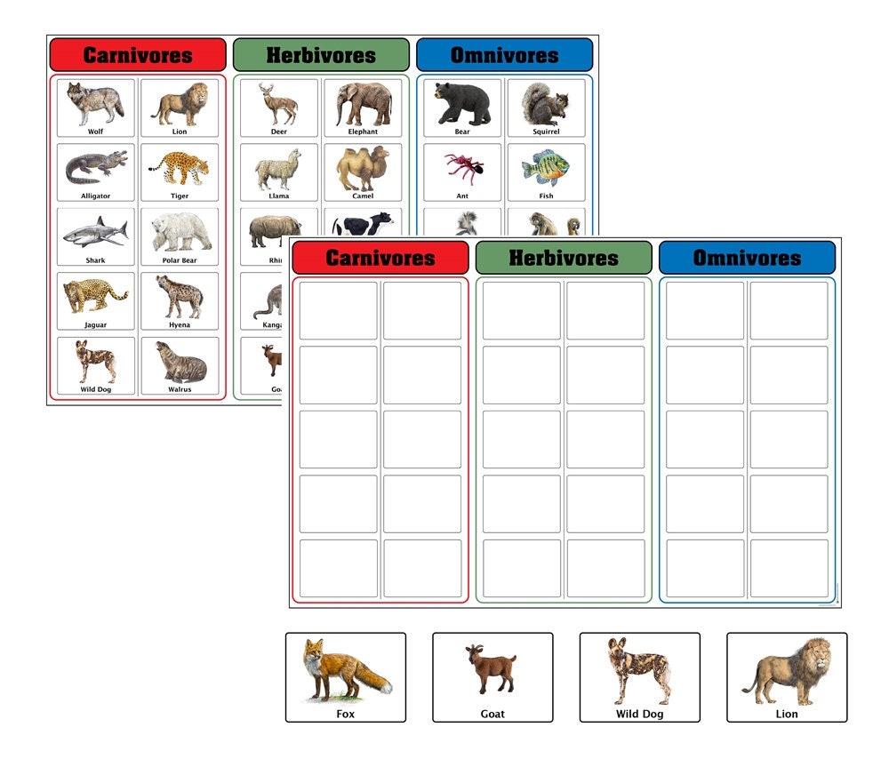Omnivores Herbivores Carnivores Chart
