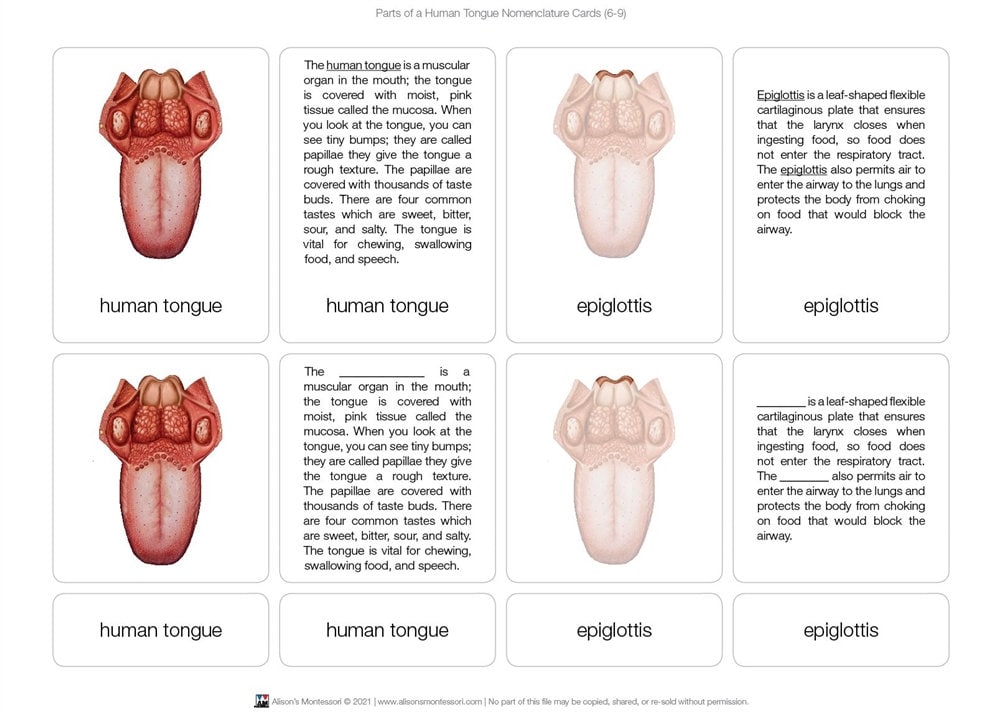 Parts of a Human Tongue Puzzle With Nomenclature Cards (6-9 ...