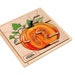 Parts of a Pumpkin Puzzle With Nomenclature Cards (6-9) | Montessori ...