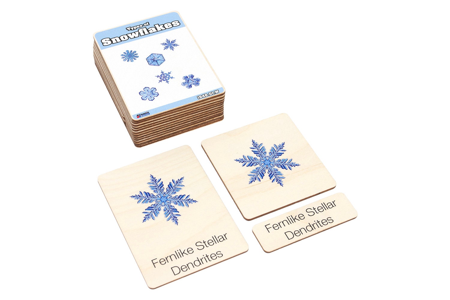 Types of Snowflakes Wooden Nomenclature Cards (3-6) | Montessori ...