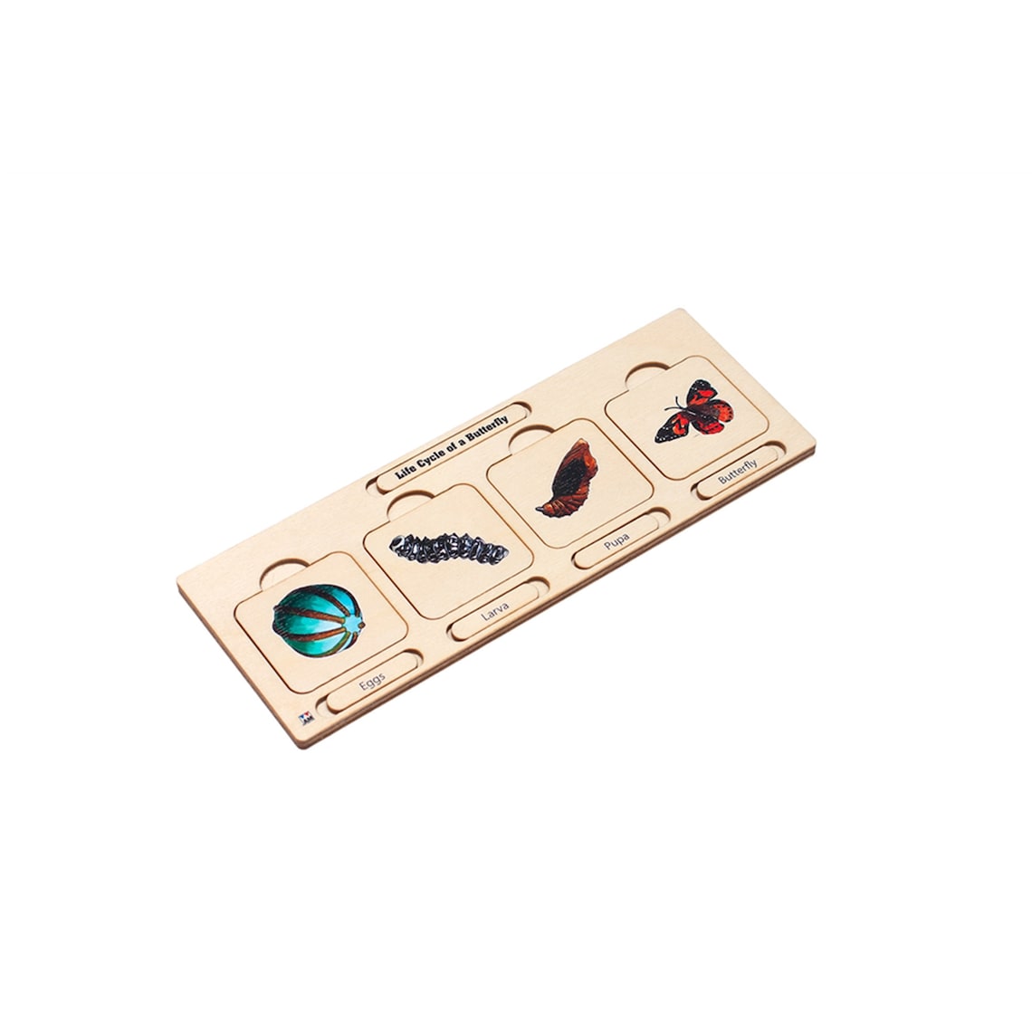 Wooden Life Cycle of a Butterfly Puzzle Life Cycle Learning Montessori ...