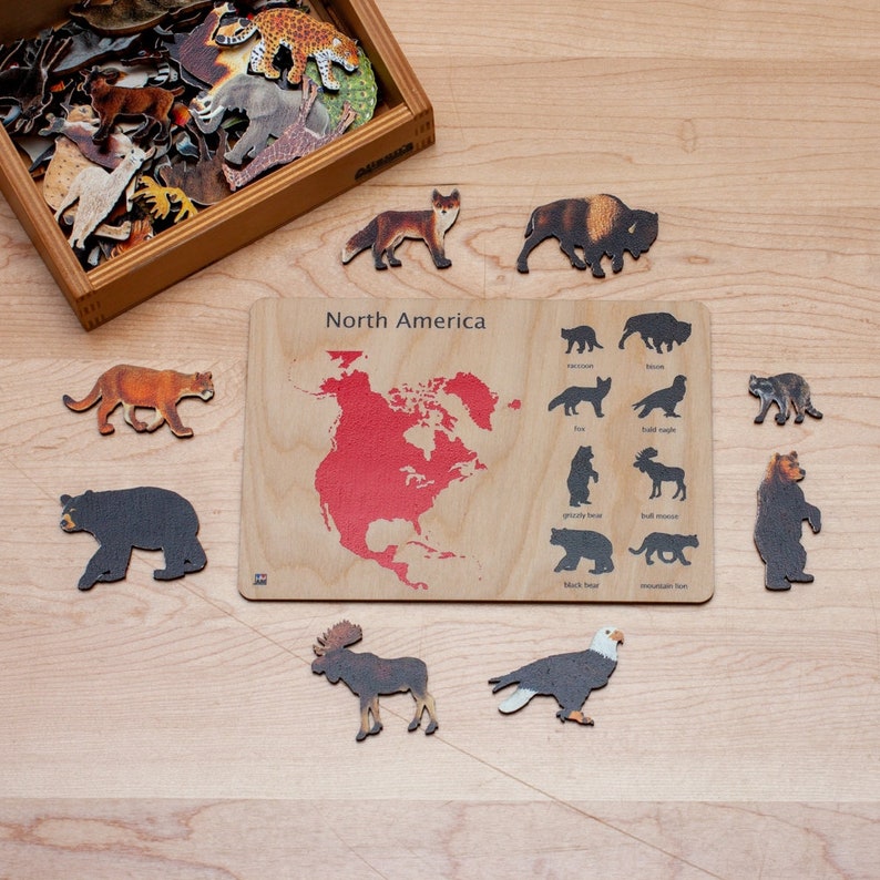 Wooden Animals of the Continents Animals of the World - Etsy