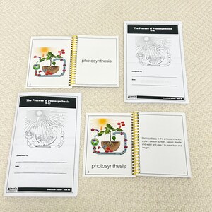 The Process of Photosynthesis Puzzle With Nomenclature Cards (6-9 ...