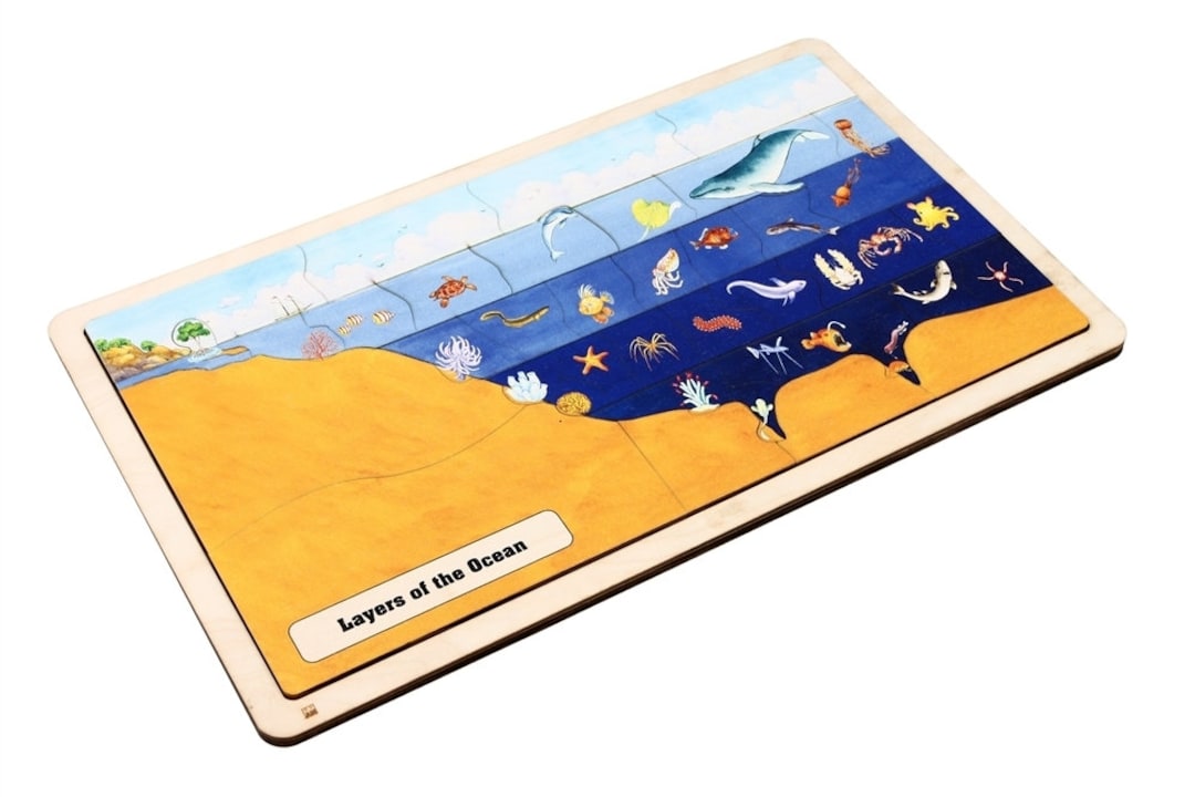 Layers of the Ocean Puzzle With Nomenclature Cards (3-6) (printed ...