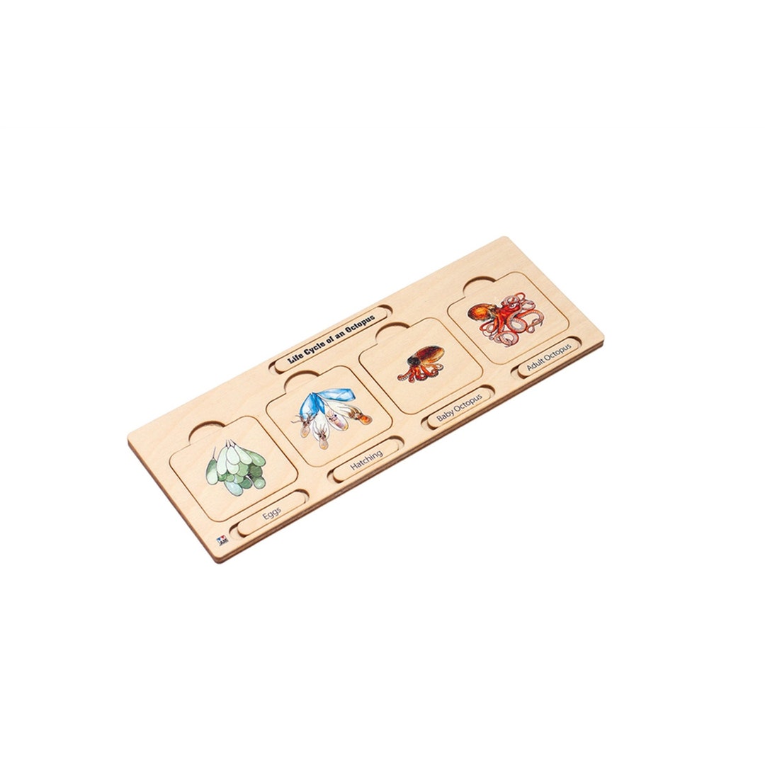Life Cycle of a Octopus Puzzle | Montessori Materials | Homeschool ...