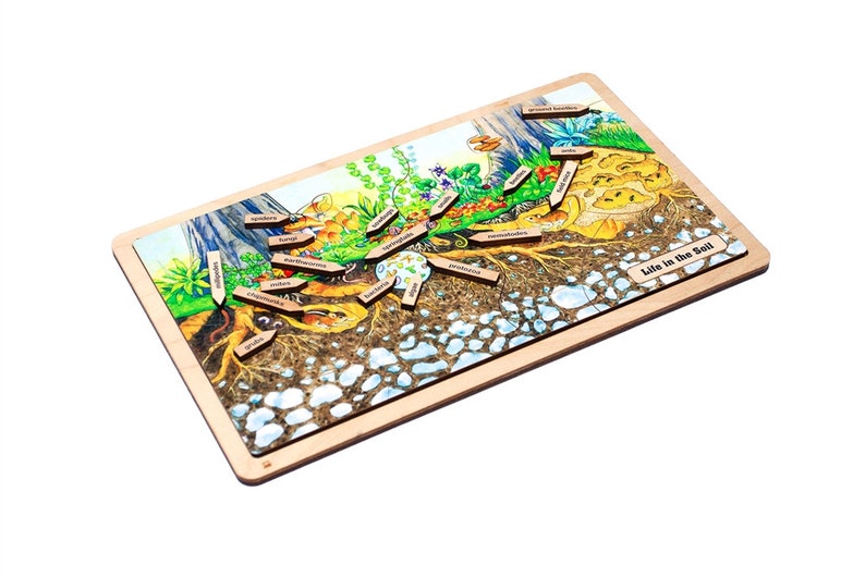 Life in the Soil Puzzle With Nomenclature Cards (6-9) (printed ...