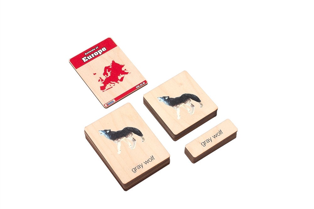 Animals of Europe Wooden Nomenclature Cards Montessori - Etsy