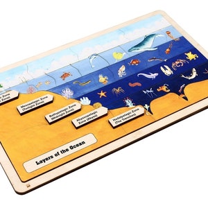 Layers of the Ocean Puzzle With Nomenclature Cards (3-6) (printed ...