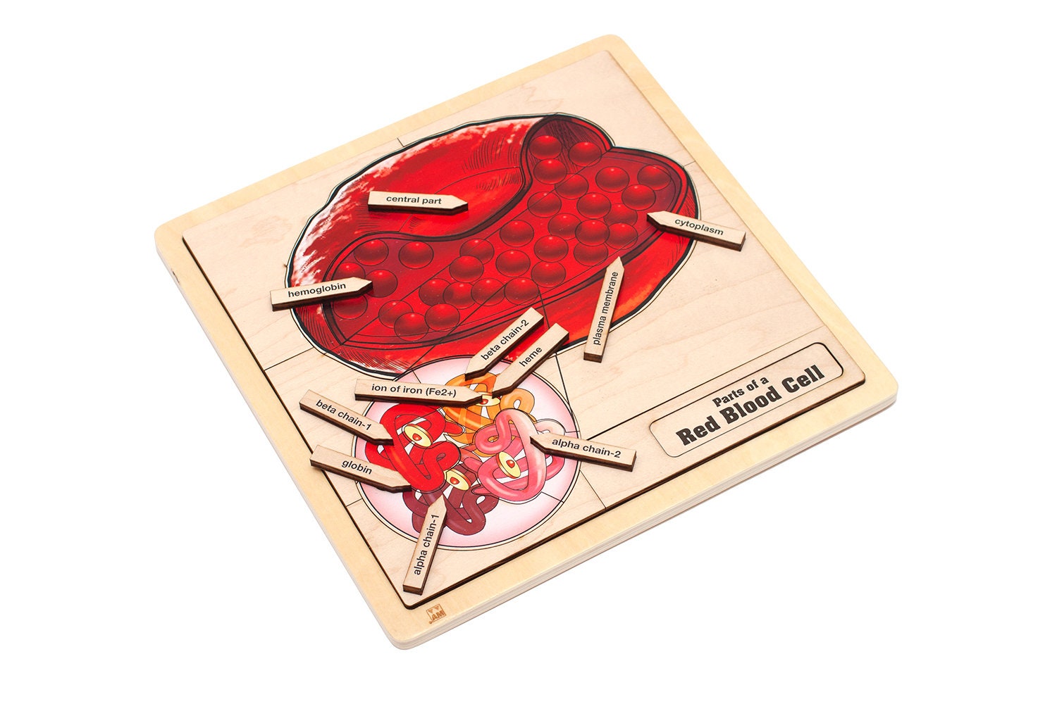 Parts of a Red Blood Cell Puzzle Montessori Puzzles - Etsy
