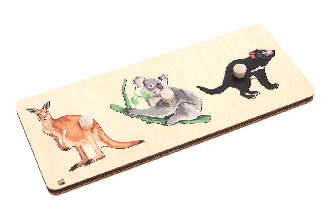 Animals of Oceania Puzzle | Montessori Materials | Infant and Toddler ...
