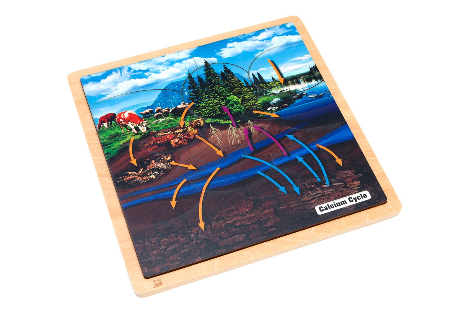 Parts of a Phosphorus Cycle Puzzle Montessori Materials Montessori ...